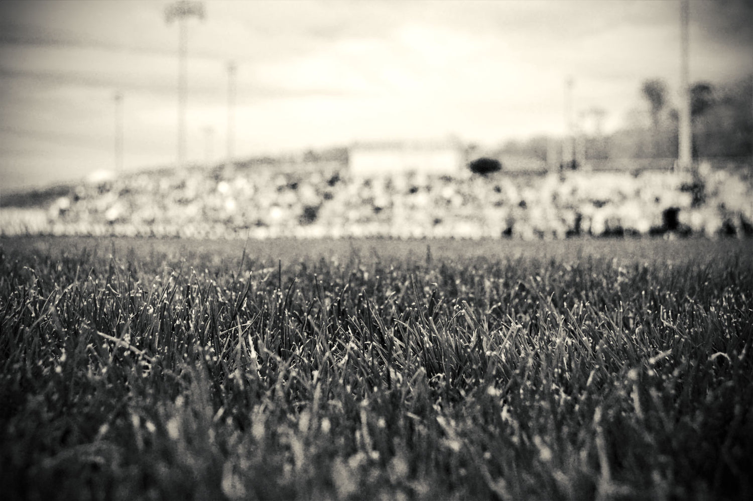 NĒILL Charitable Apparel#N# – neill.design